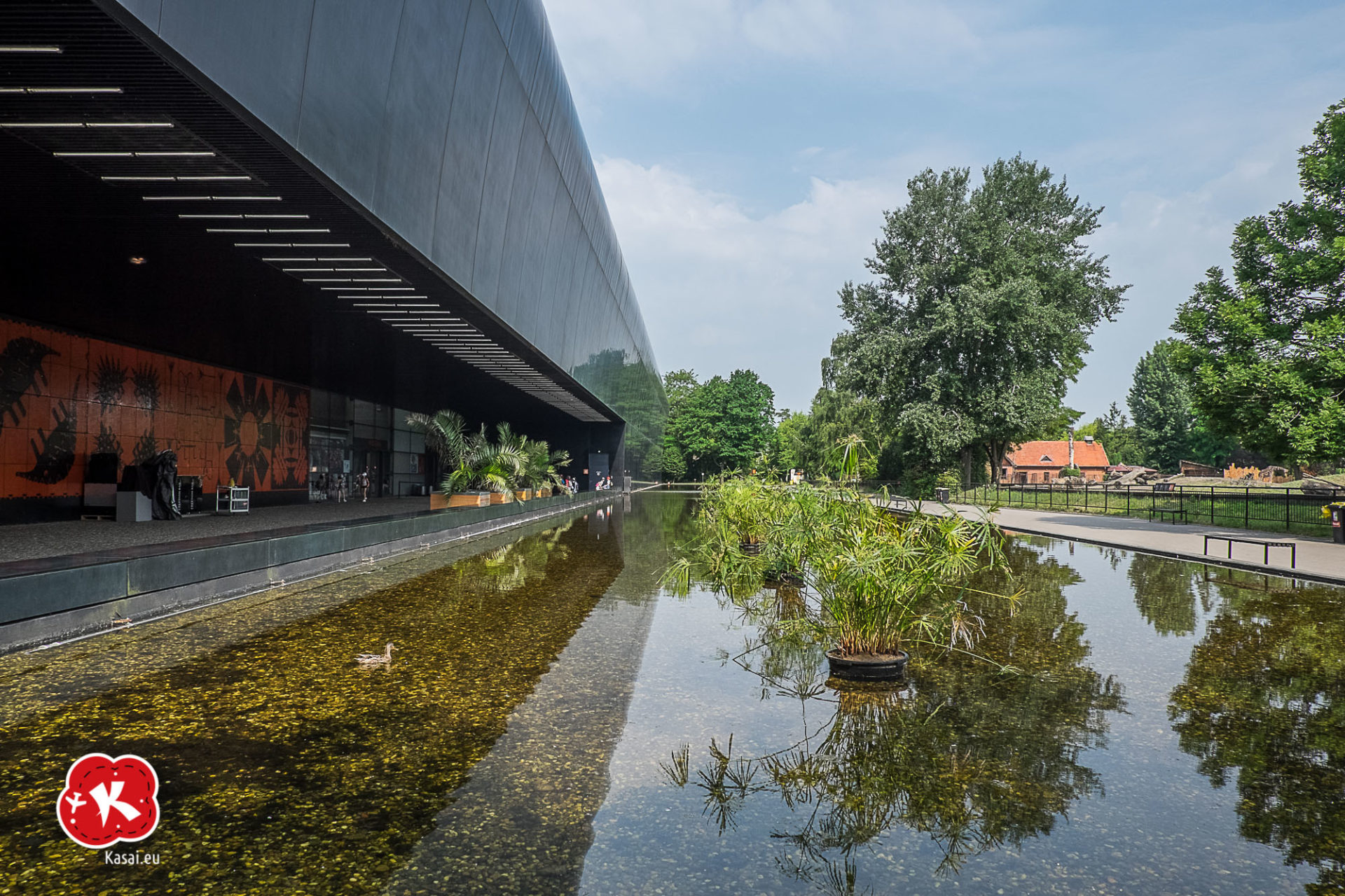 Afrykarium, Oceanarium i ZOO Wrocław - Kasai - podróże w sieci
