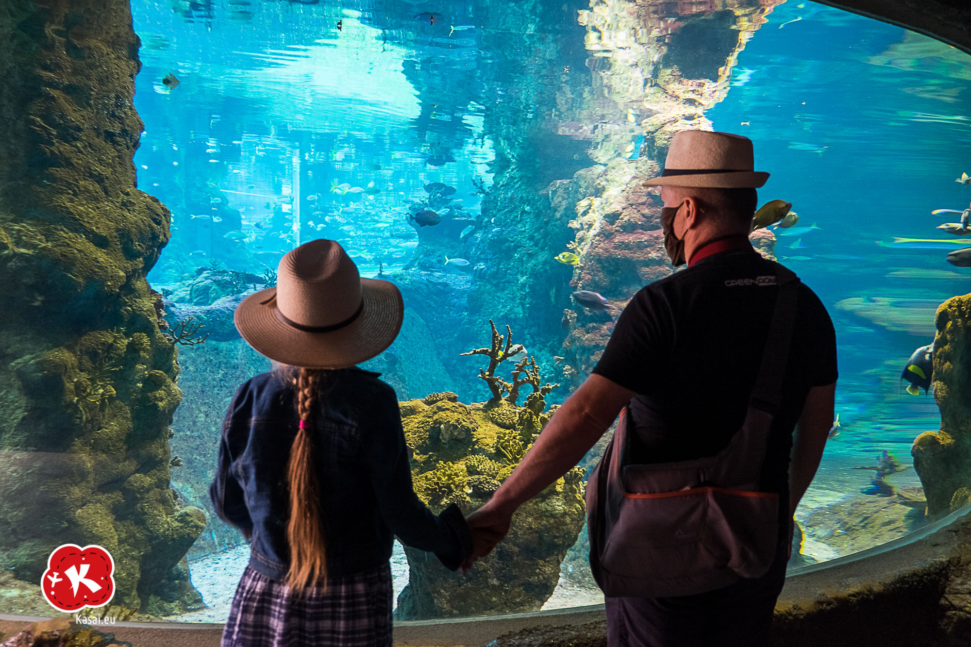 Afrykarium, Oceanarium i ZOO Wrocław - Kasai - podróże w sieci