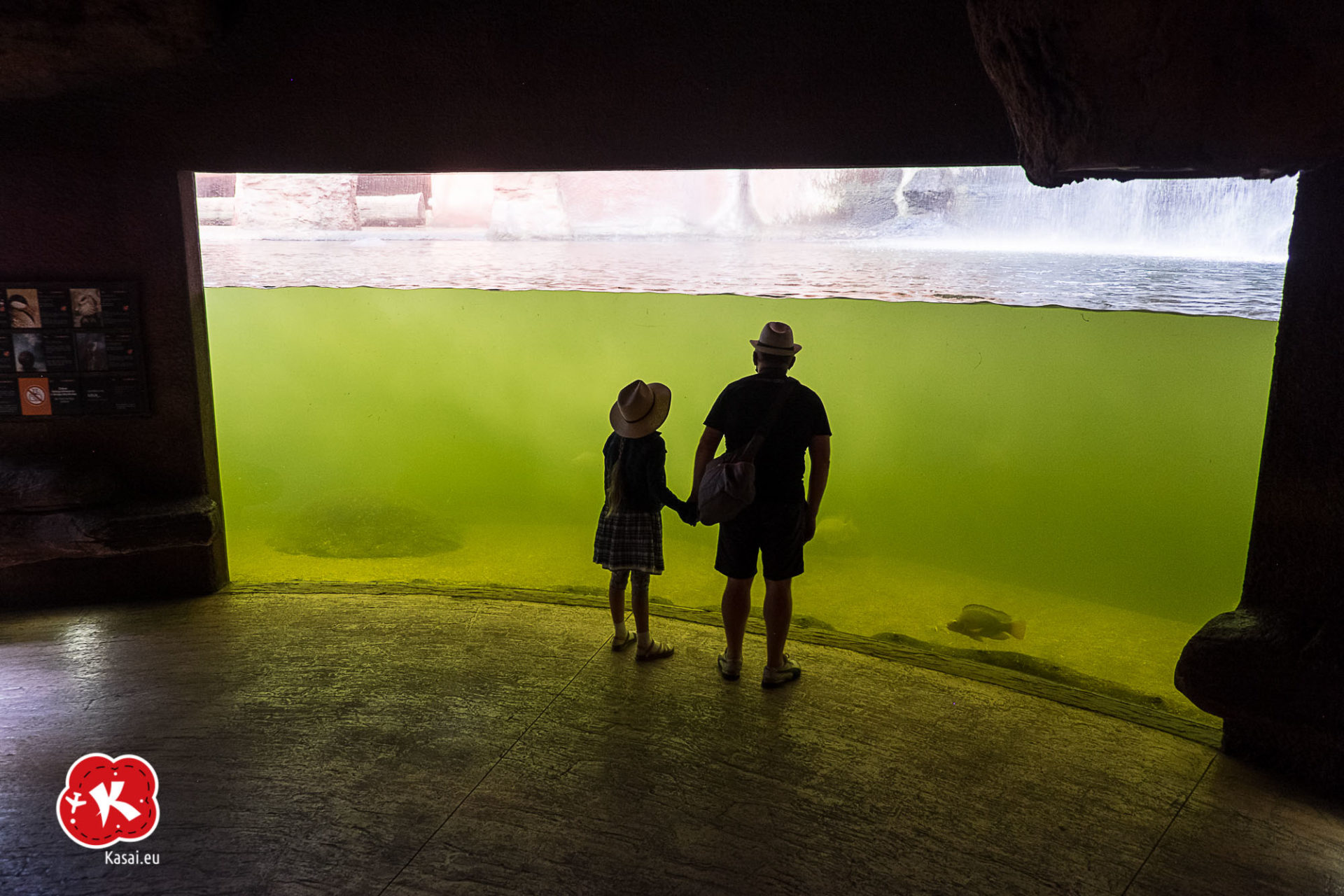 Afrykarium, Oceanarium i ZOO Wrocław - Kasai - podróże w sieci