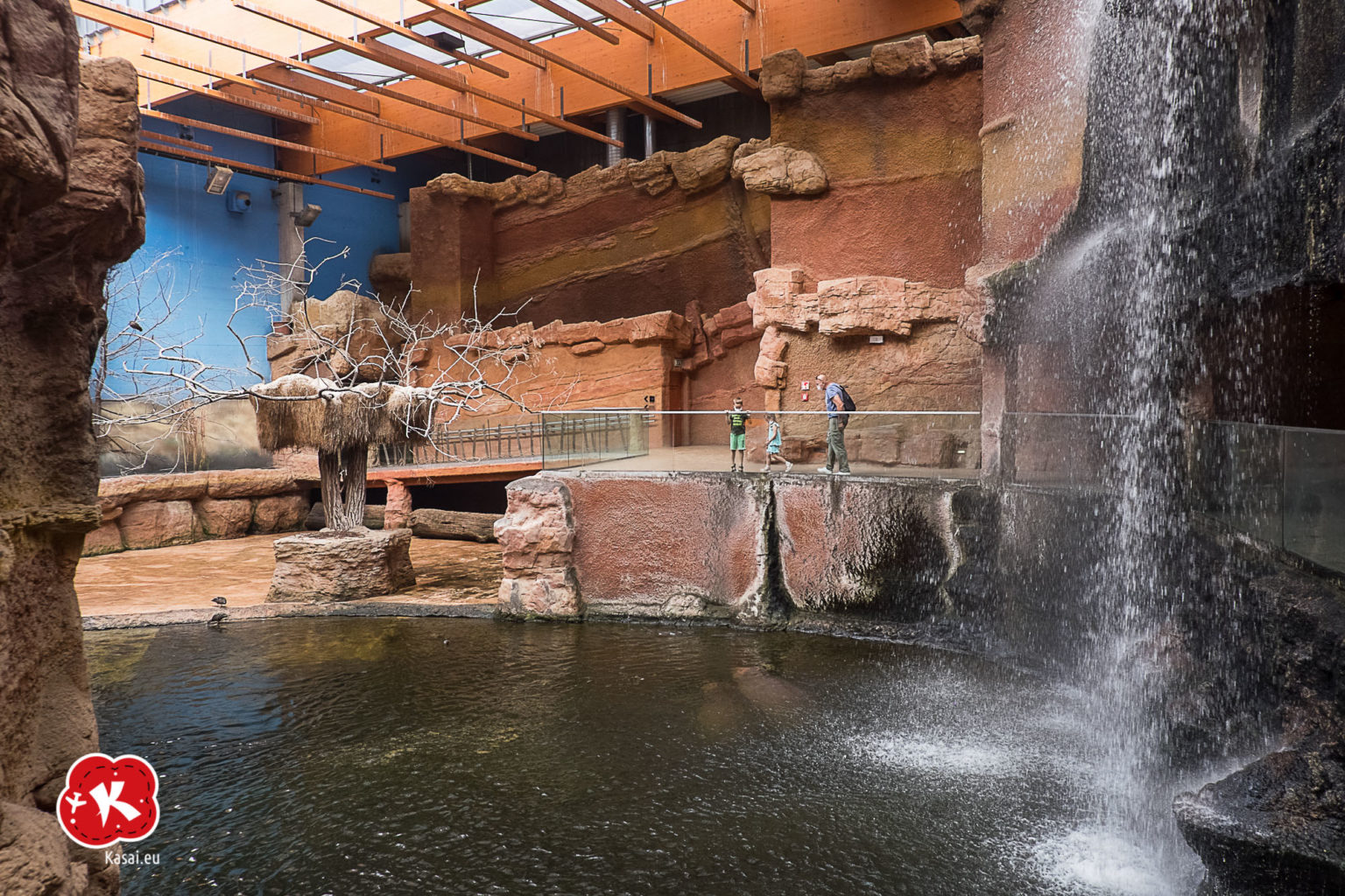 Afrykarium, Oceanarium i ZOO Wrocław - Kasai - podróże w sieci
