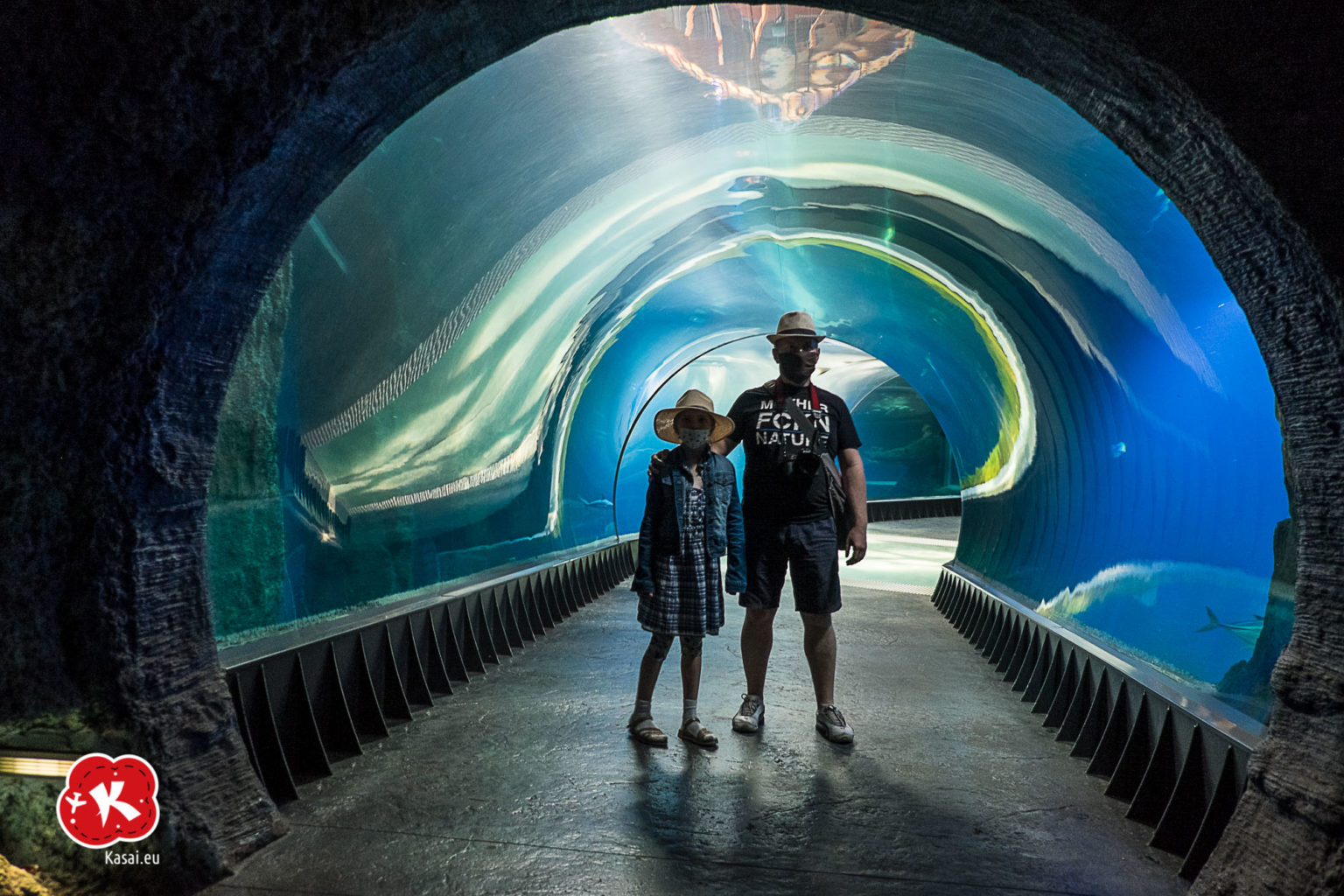 Afrykarium, Oceanarium i ZOO Wrocław - Kasai - podróże w sieci