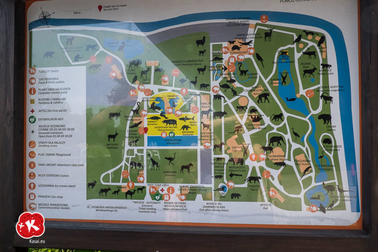 Afrykarium, Oceanarium i ZOO Wrocław - Kasai - podróże w sieci