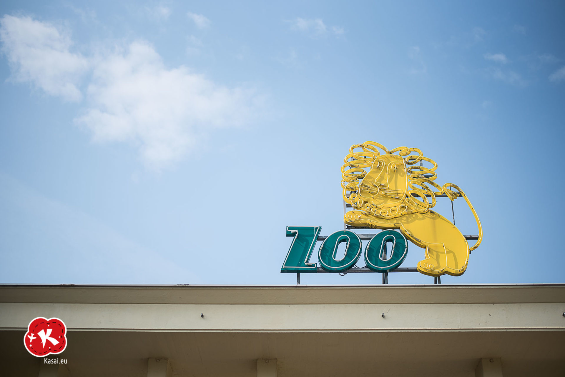 Afrykarium, Oceanarium i ZOO Wrocław - Kasai - podróże w sieci