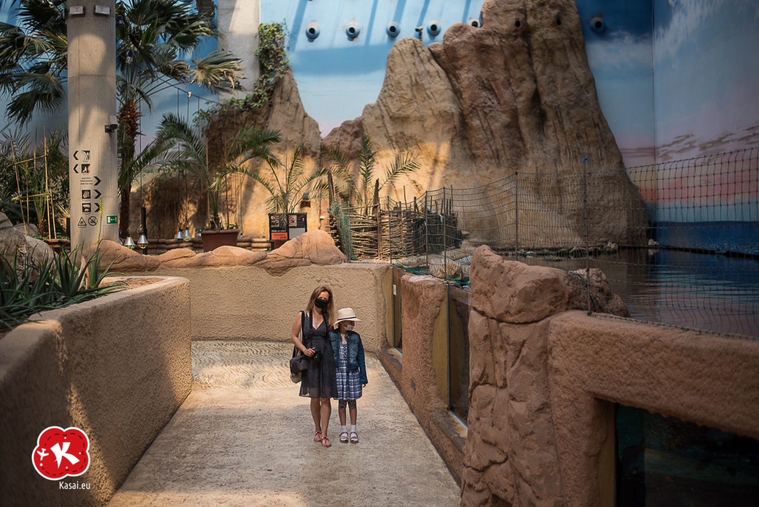 Afrykarium, Oceanarium i ZOO Wrocław - Kasai - podróże w sieci